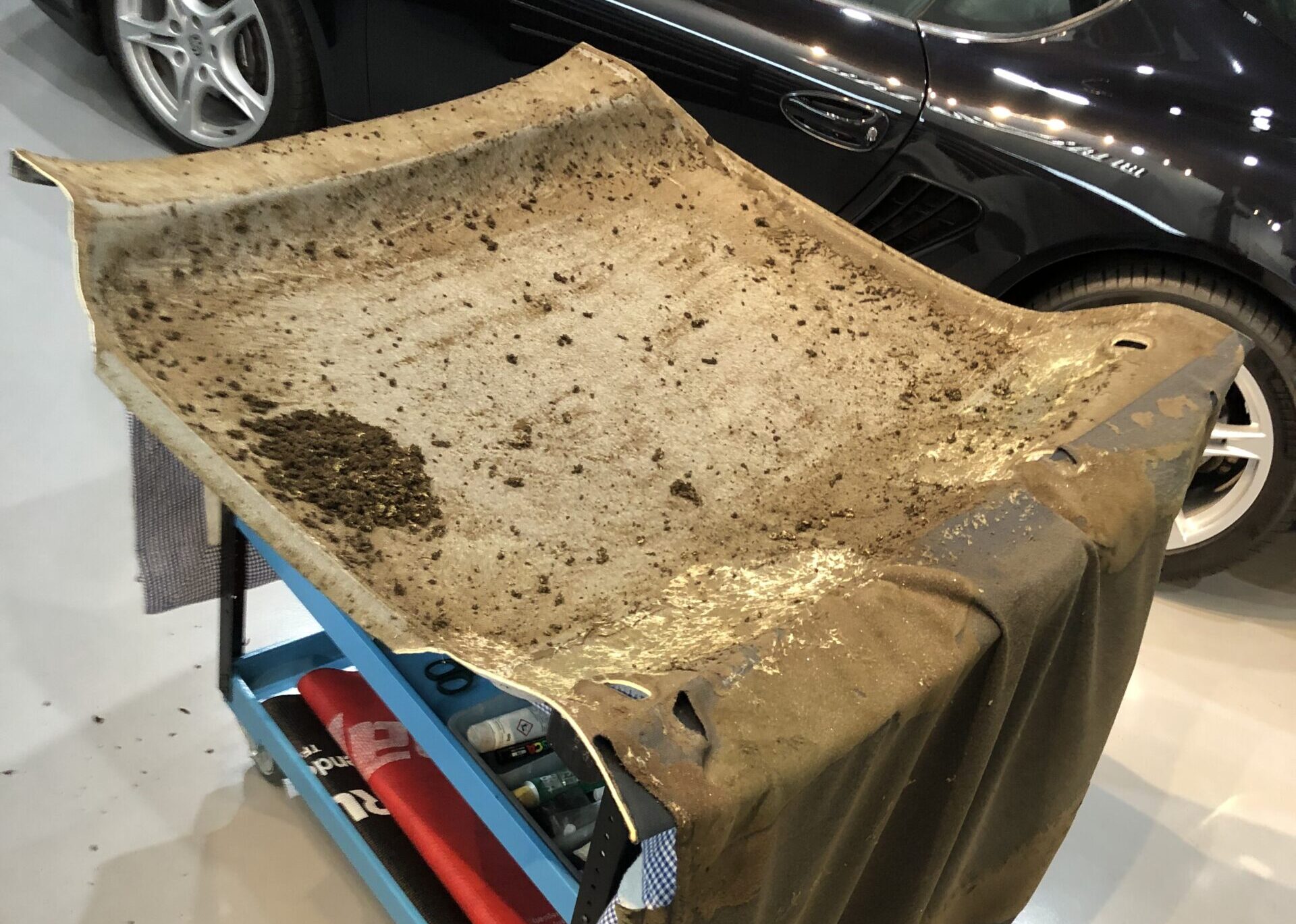 987ケイマン 天井剥がれ修理 | IBI LAB.（イビラボ）